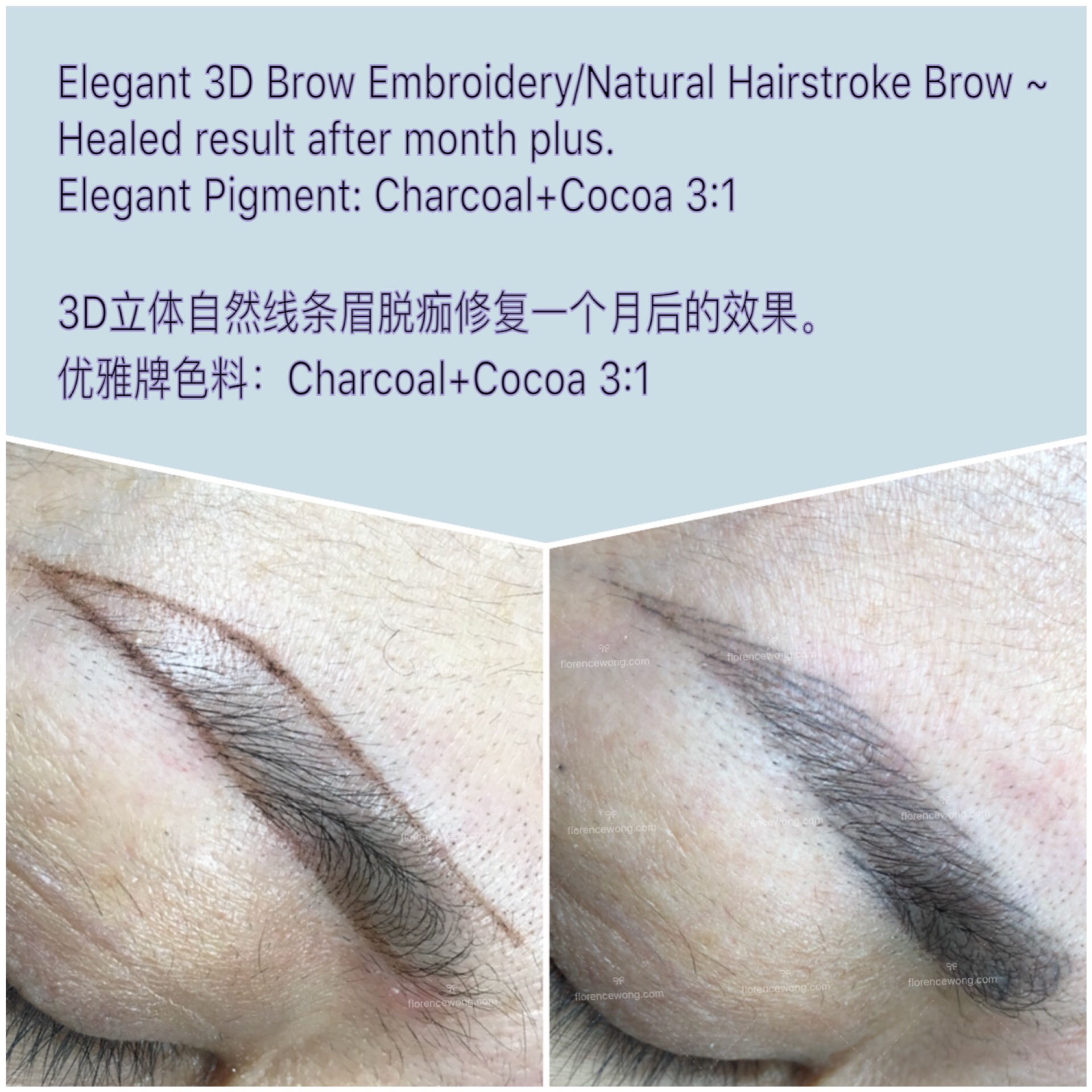 Elegant 3D Brow Microblading ~ Healed Result - Florence Wong Weblog ...