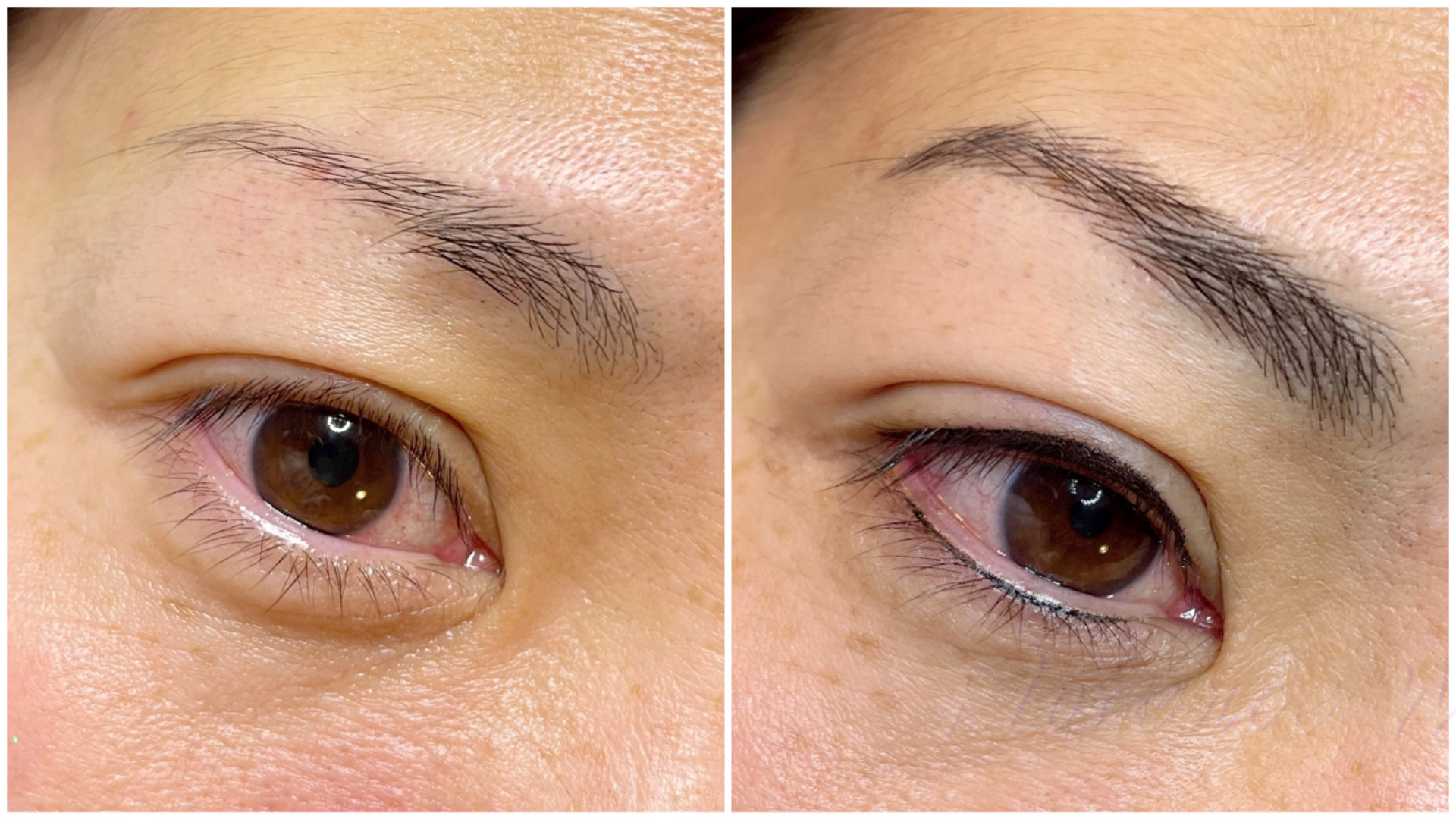 Eyebrow Microblading, Upper Liner & Lower Liner - Florence Wong Weblog ...